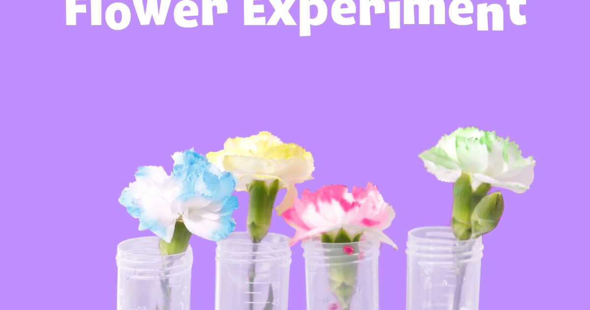 The Simple, Magical Color-Changing Carnation Experiment | Nickelodeon ...