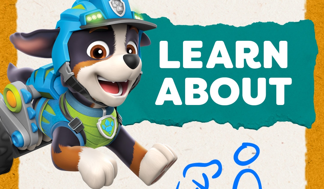 Learn About Canine Companions | Nickelodeon Parents